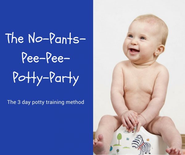 Potty Party Time: The 3-Day Potty Training Method
