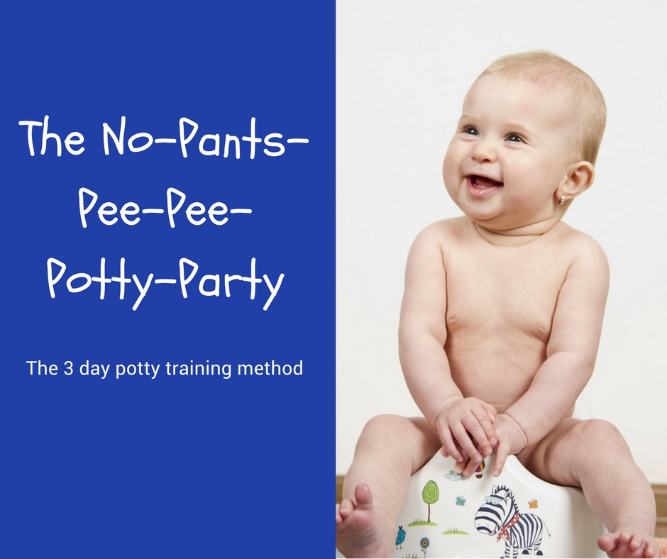 Potty Party Time: The 3-Day Potty Training Method